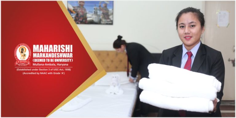 What is the importance of Room Division Management?